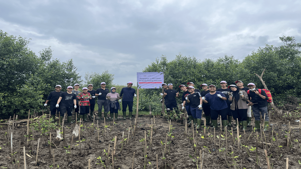 Aksi CSR PT Honda Trading Indonesia Tanam 1.500 Mangrove di Tangerang ...